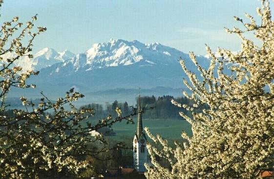 Untitled Document [www.immox.ch]